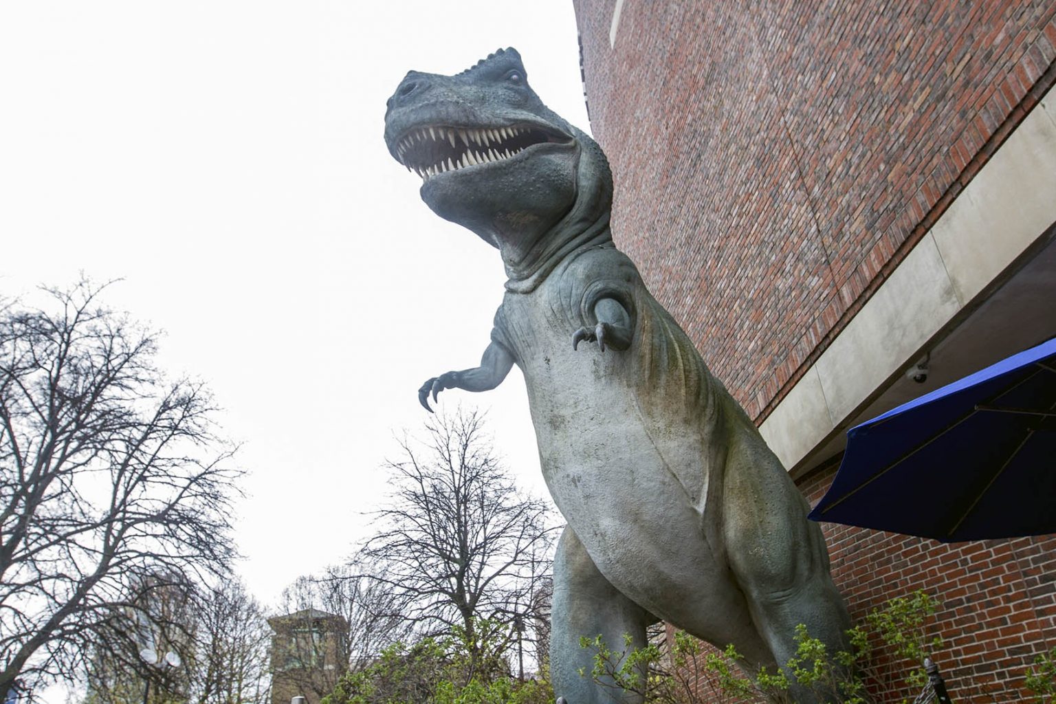 The Museum of Science: Boston’s Most Fascinating Museum